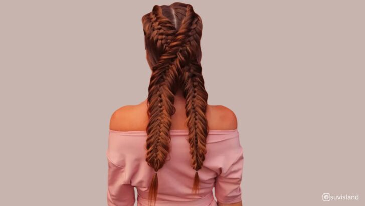20 Prettiest Braided Pigtails For A Youthful Aesthetic