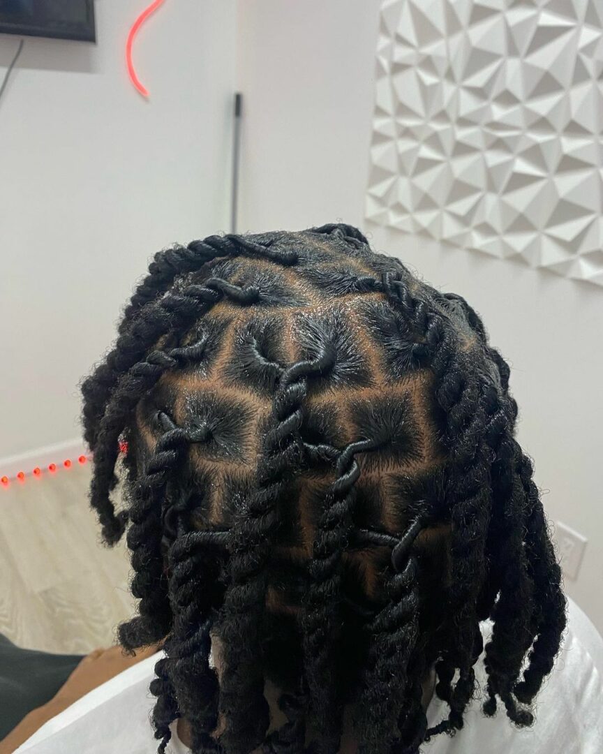 12 Stylish Starter Locs Ideas For 4C Hair To Begin Your Loc Journey