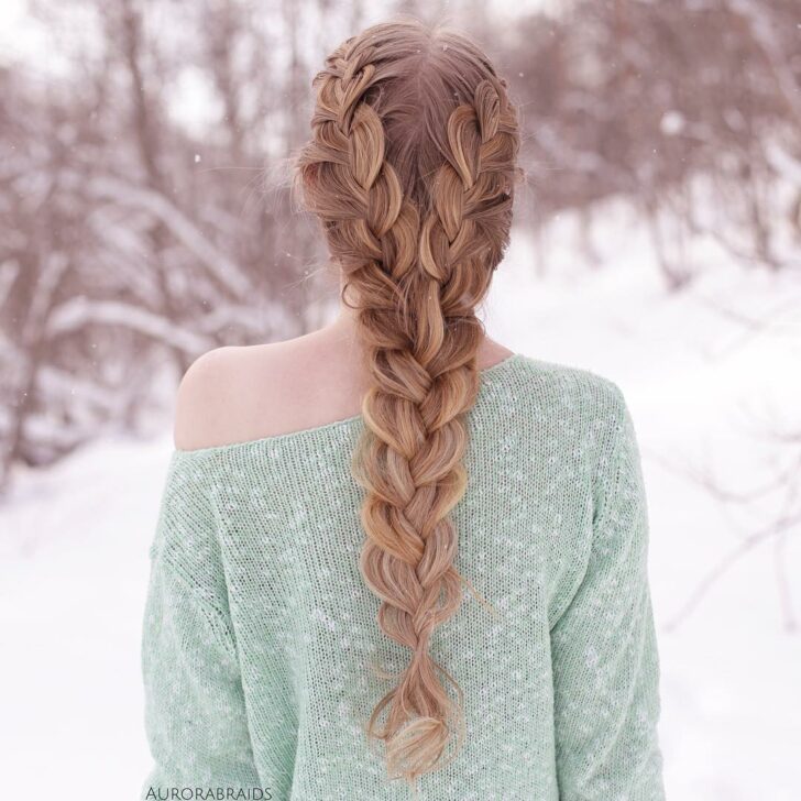 Reinvent The French Braid With 38 Styles That Impress Every Time