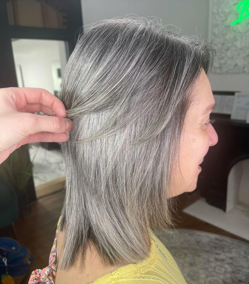 10 Gorgeous Ideas Of Dimensional Grey Hair With Brown Lowlights